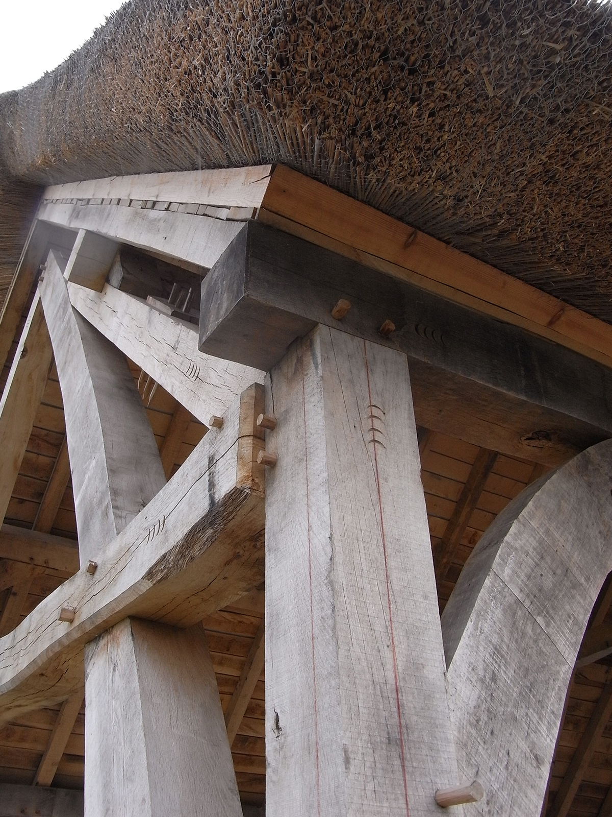 Skills for the Future Cruck Framed Barn - TACP Architects